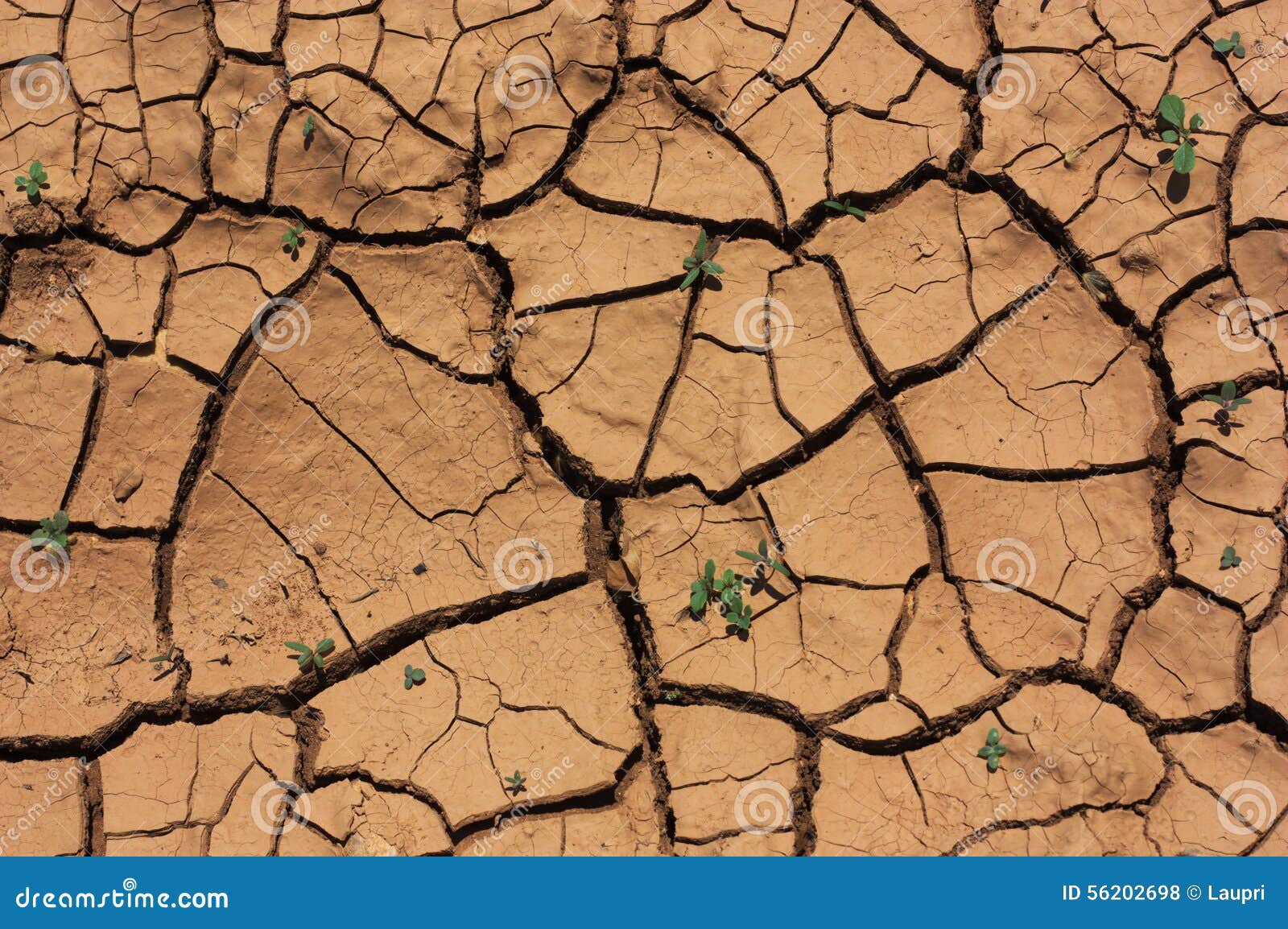 Soil - Cracked Dry Ground - Textures Stock Photo - Image of death ...