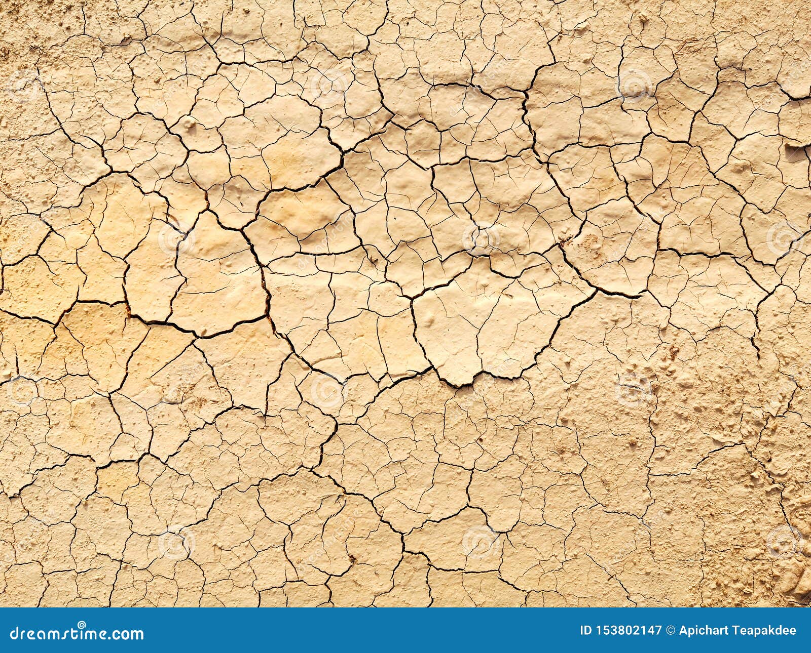 Soil with cracked pattern stock image. Image of texture - 153802147