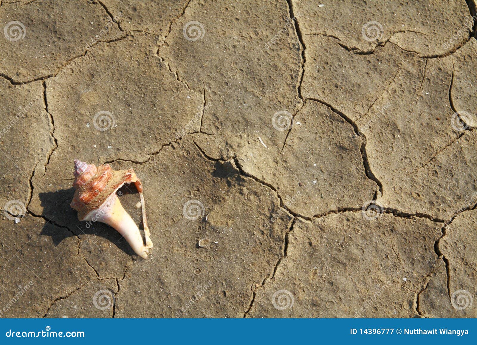 Soil Cracked Texture Near the Sea Stock Image - Image of ground ...