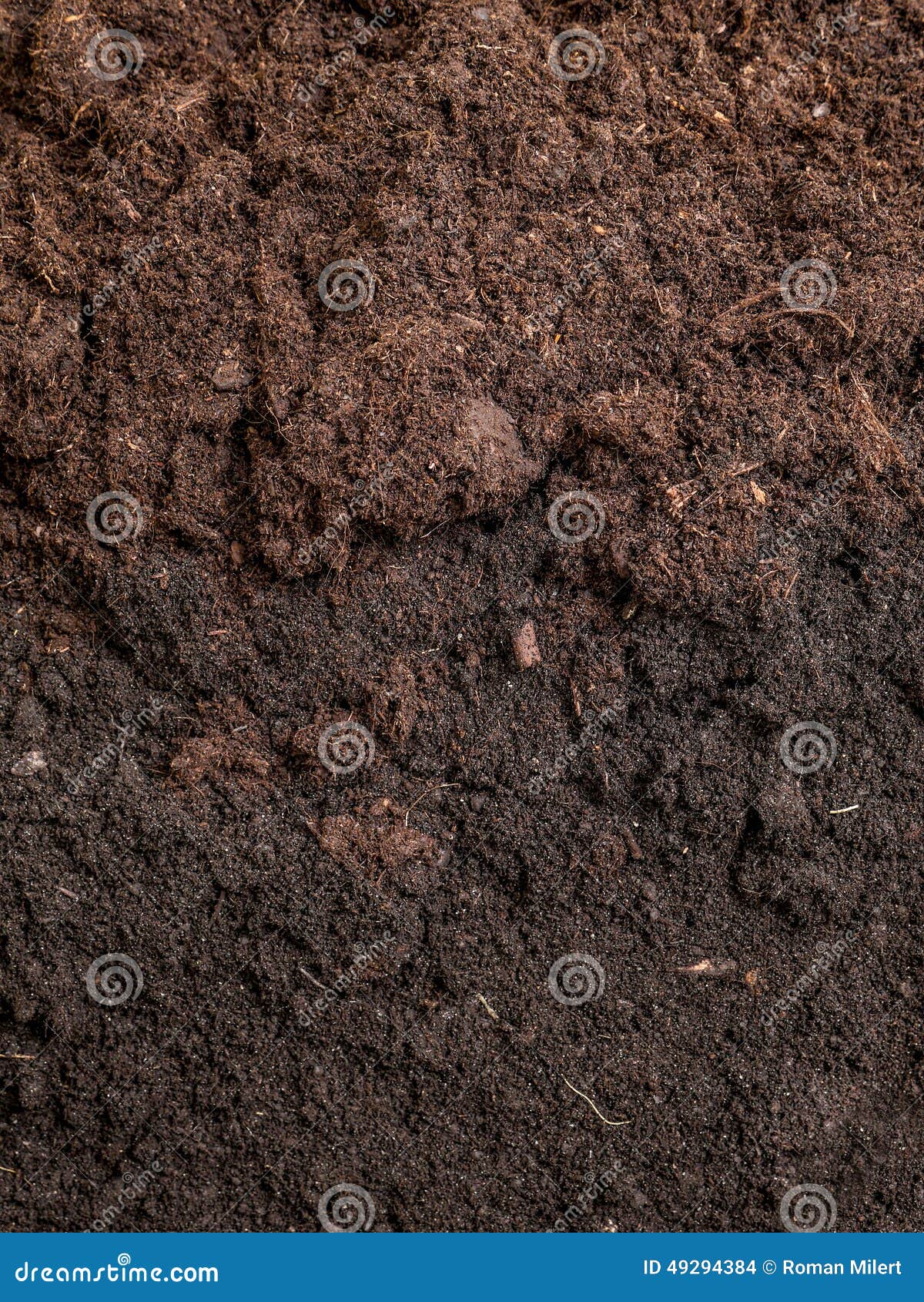 Soil stock photo. Image of structure, soil, clod, botany - 49294384