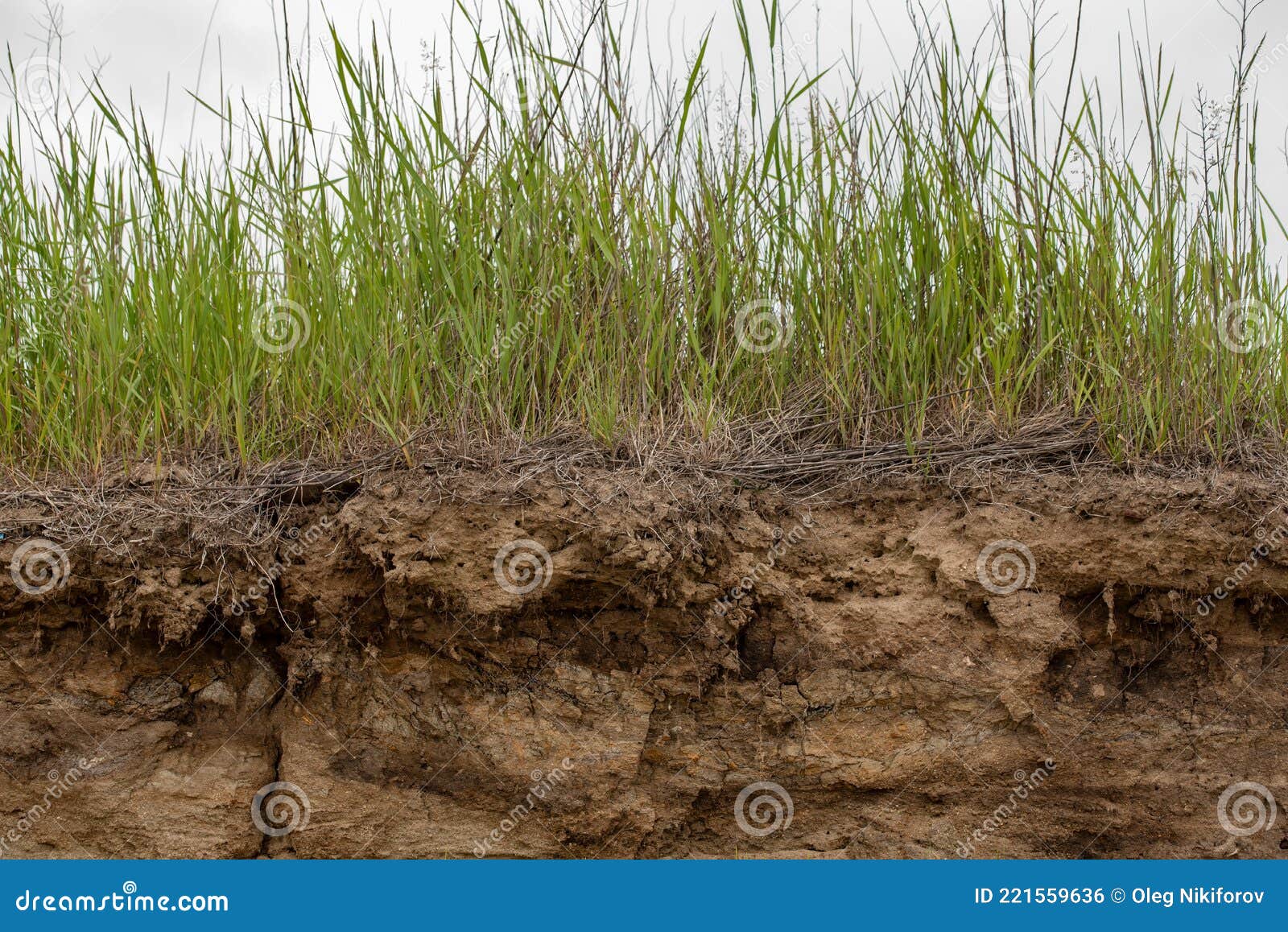 Soil cut due to landslide stock photo. Image of layer - 221559636