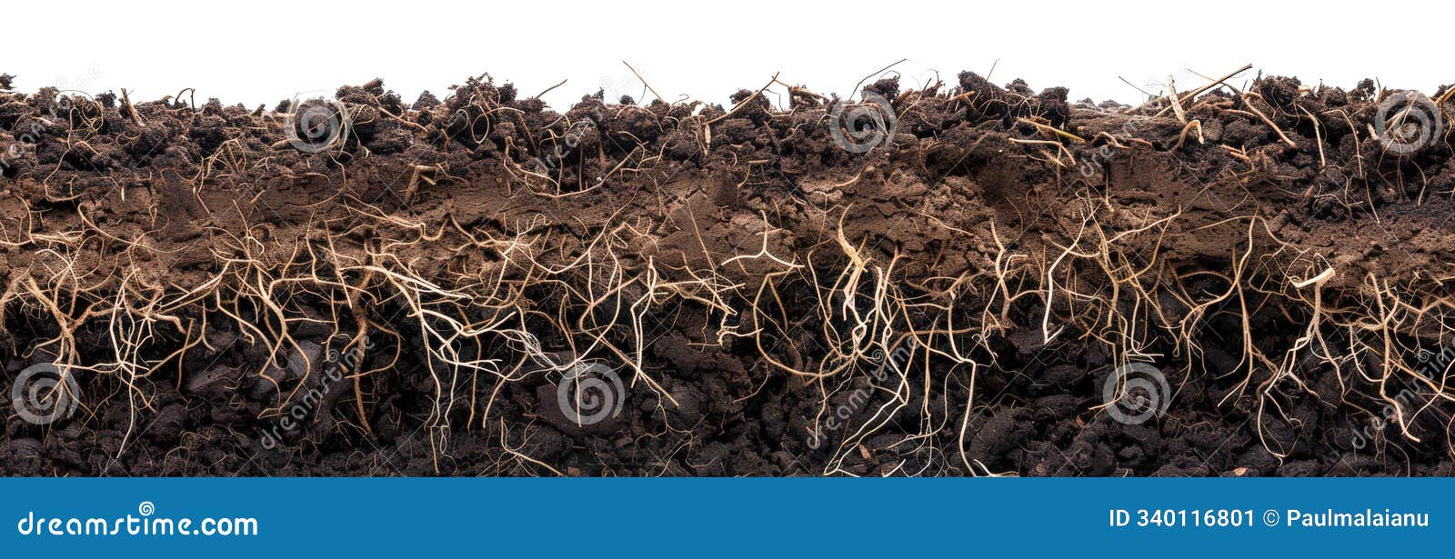 Soil Cut Out with Roots, Isolated on Transparent Background. Stock ...