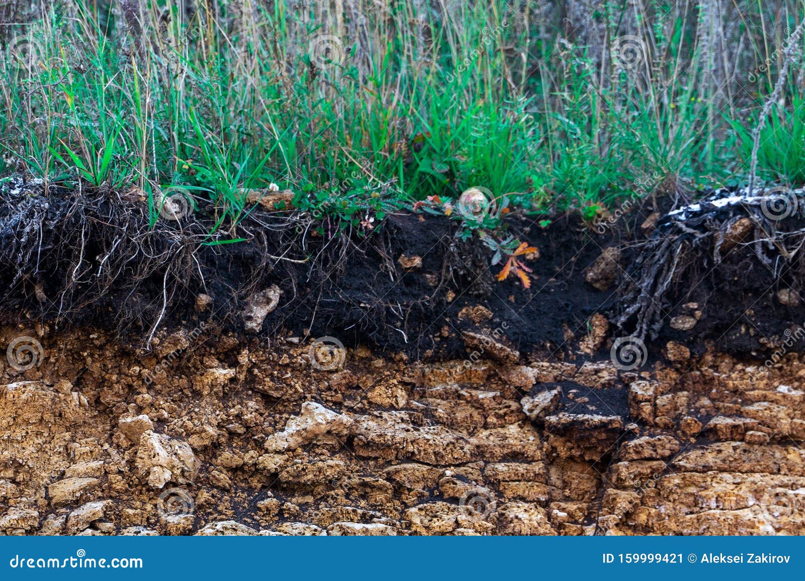 Soil Cut-sandstone, Stones, Clay, Sand Structure and Layers. Slice of ...
