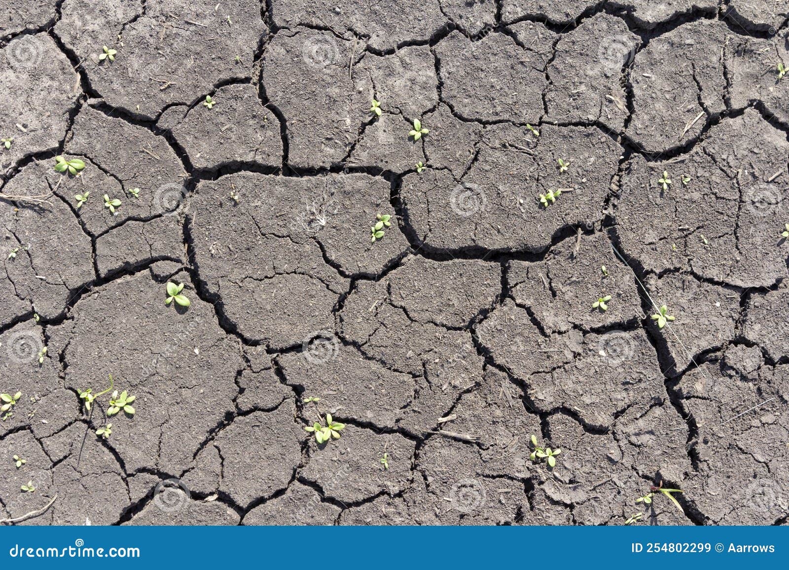 The Soil in the Desert with Cracked by Drought Stock Image - Image of ...
