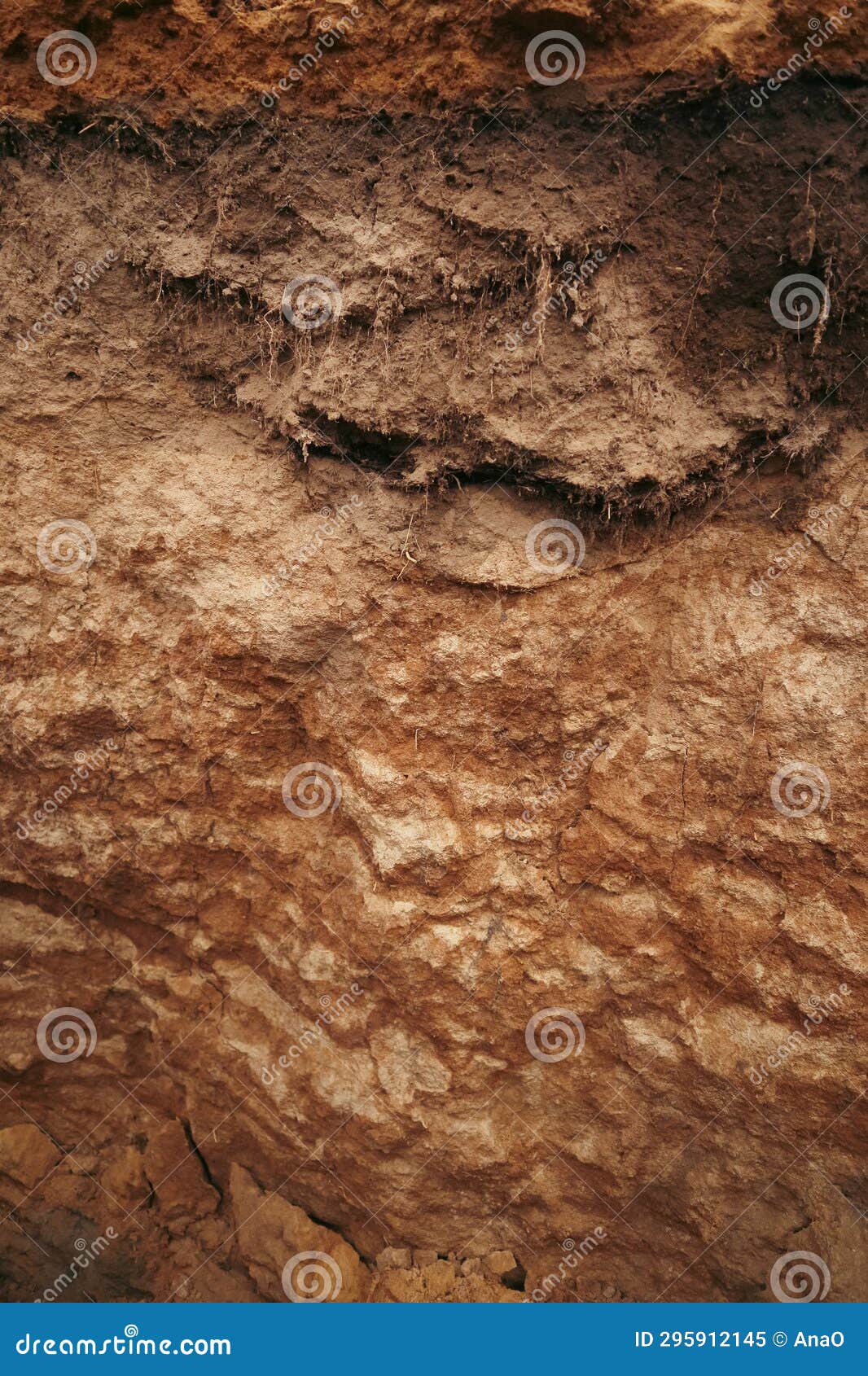 Soil or Dirt Cross Section Close-up. Underground Earth Texture, Cross ...