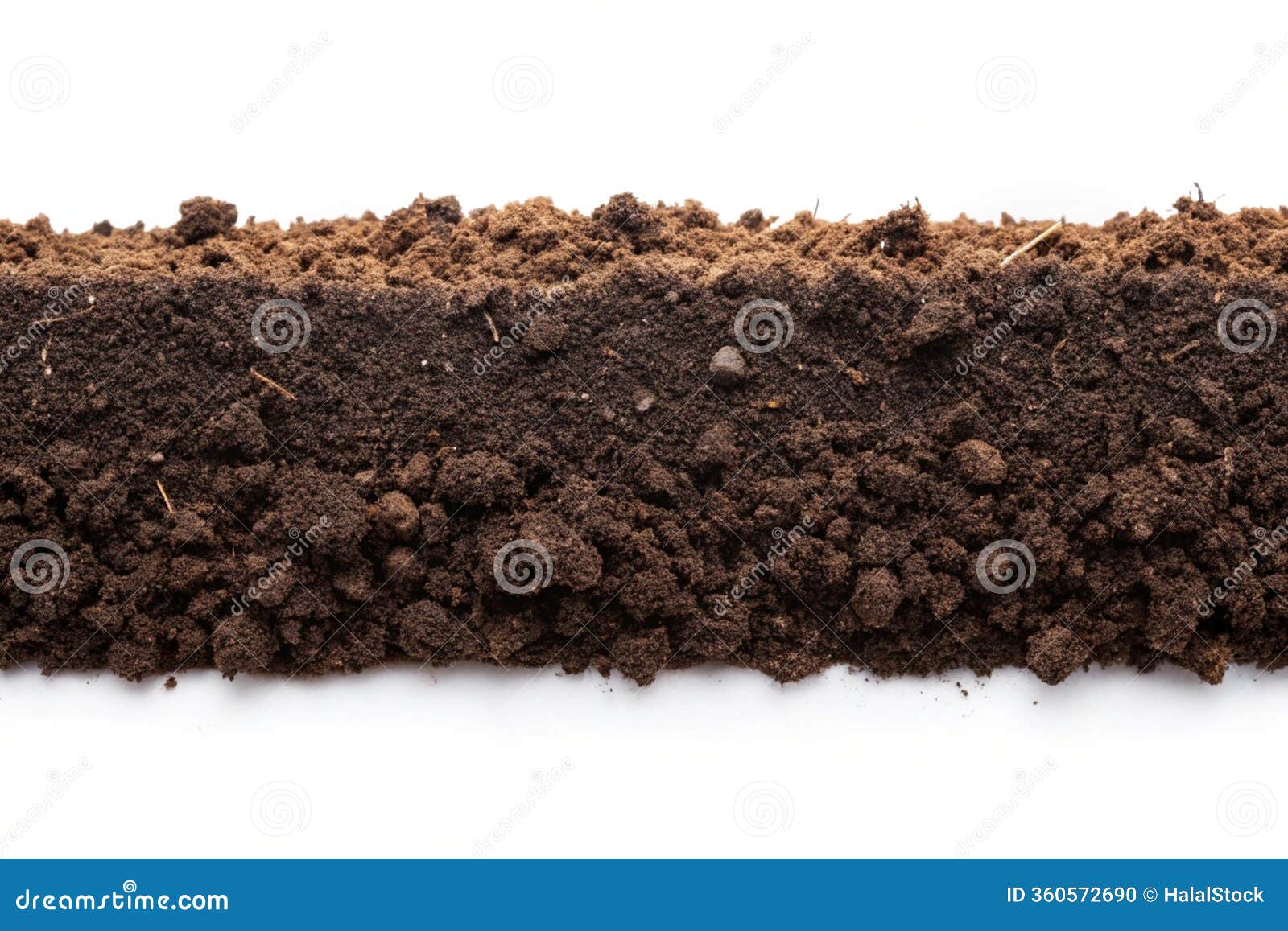 Soil or Dirt Section Isolated on White Background Stock Illustration ...