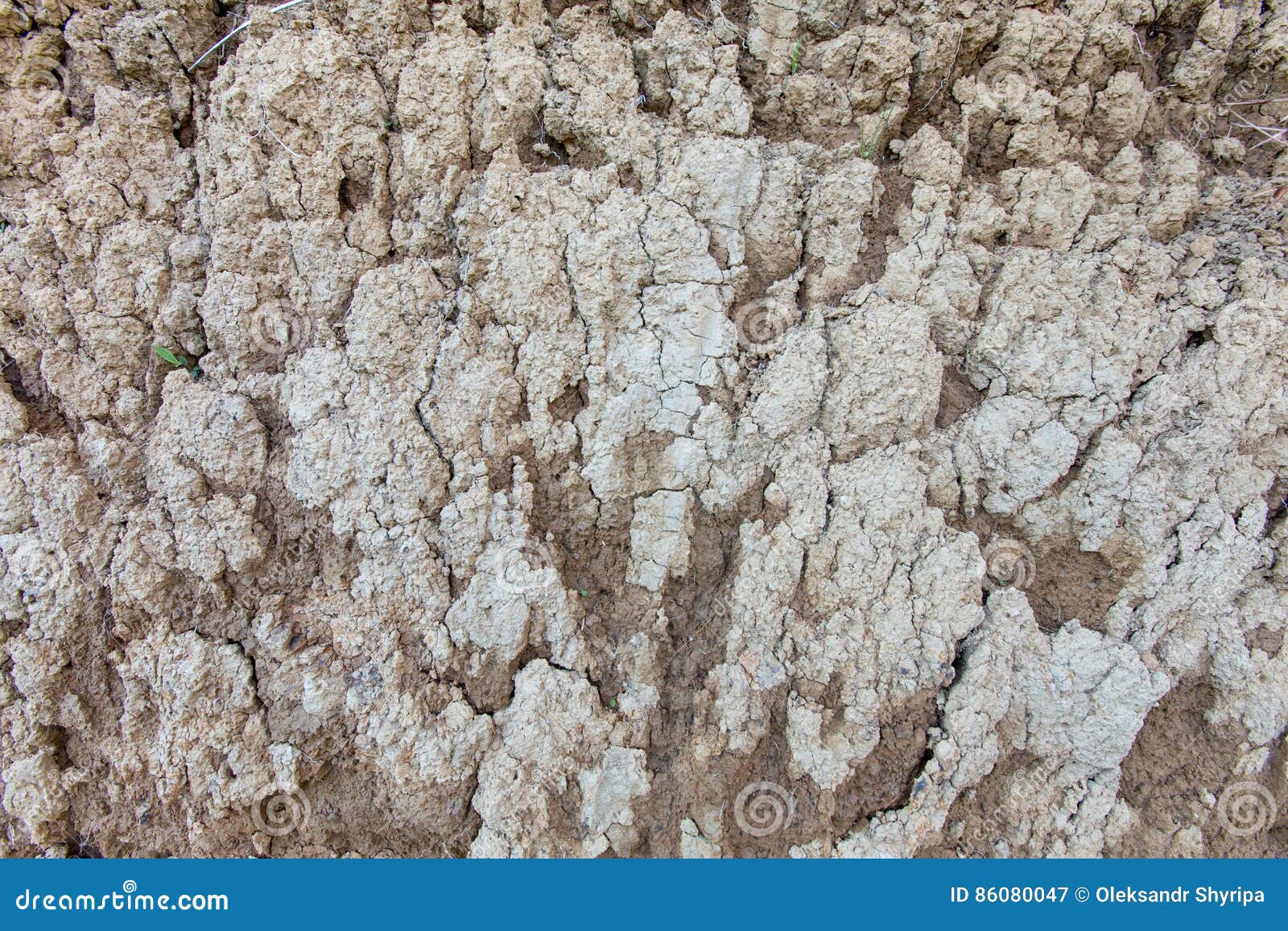 Soil Dirt Texture with Some Fine Grain in it Stock Image - Image of ...