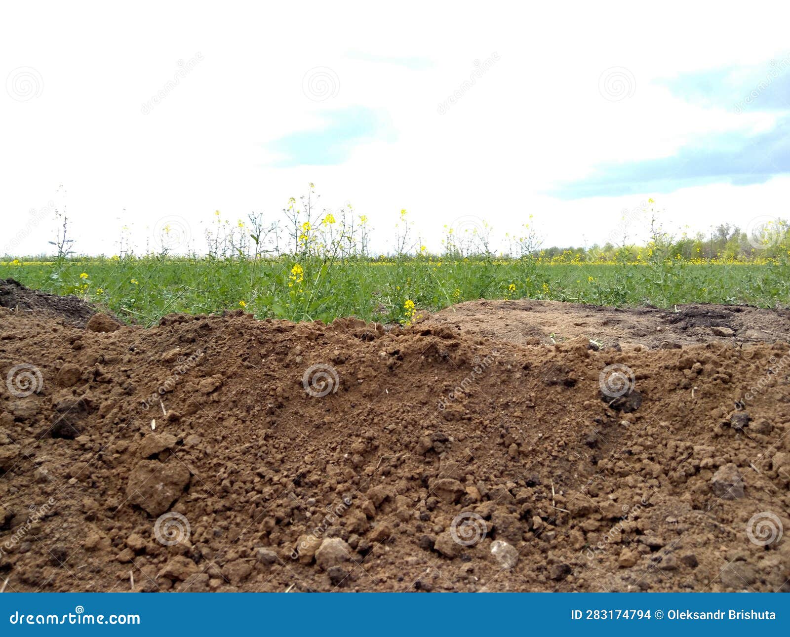 Disturbed Ground. Soil Texture Stock Photo - Image of terrain, field ...