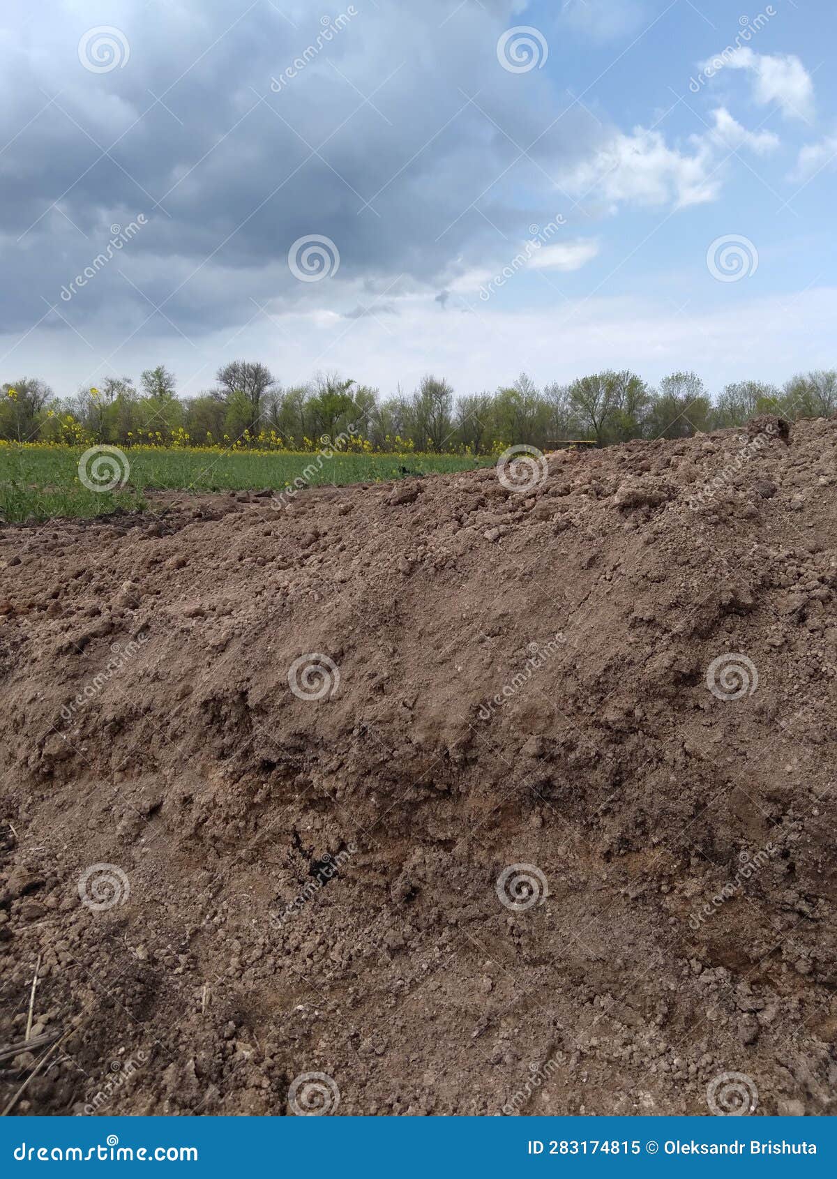 Disturbed Ground. Soil Texture Stock Image - Image of earth, ecology ...