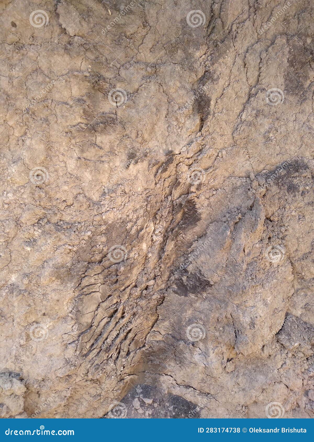 Disturbed Ground. Soil Texture Stock Photo - Image of natural ...