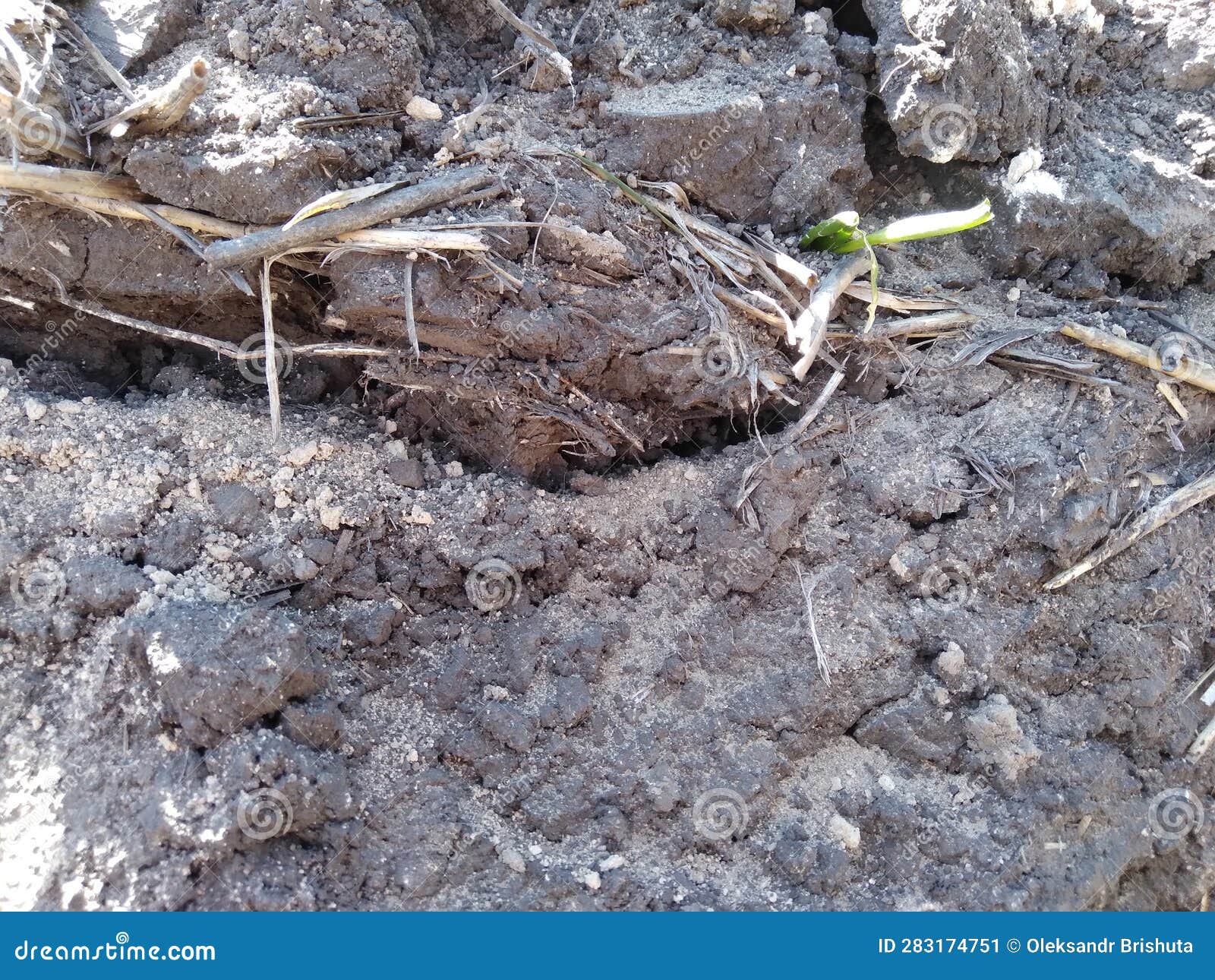 Disturbed Ground. Soil Texture Stock Image - Image of textured, clay ...