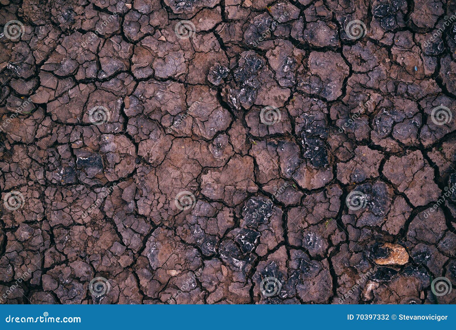 Dry Cracks In The Land, Severe Water Scarcity. Stock Image ...