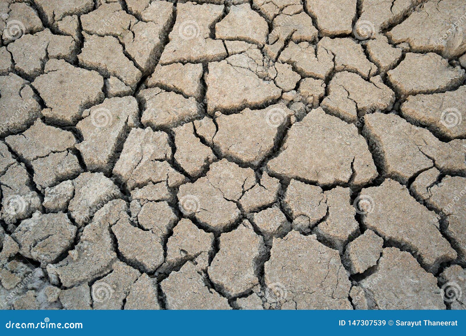 Soil Drought Cracks Texture White Background For Design Stock ...