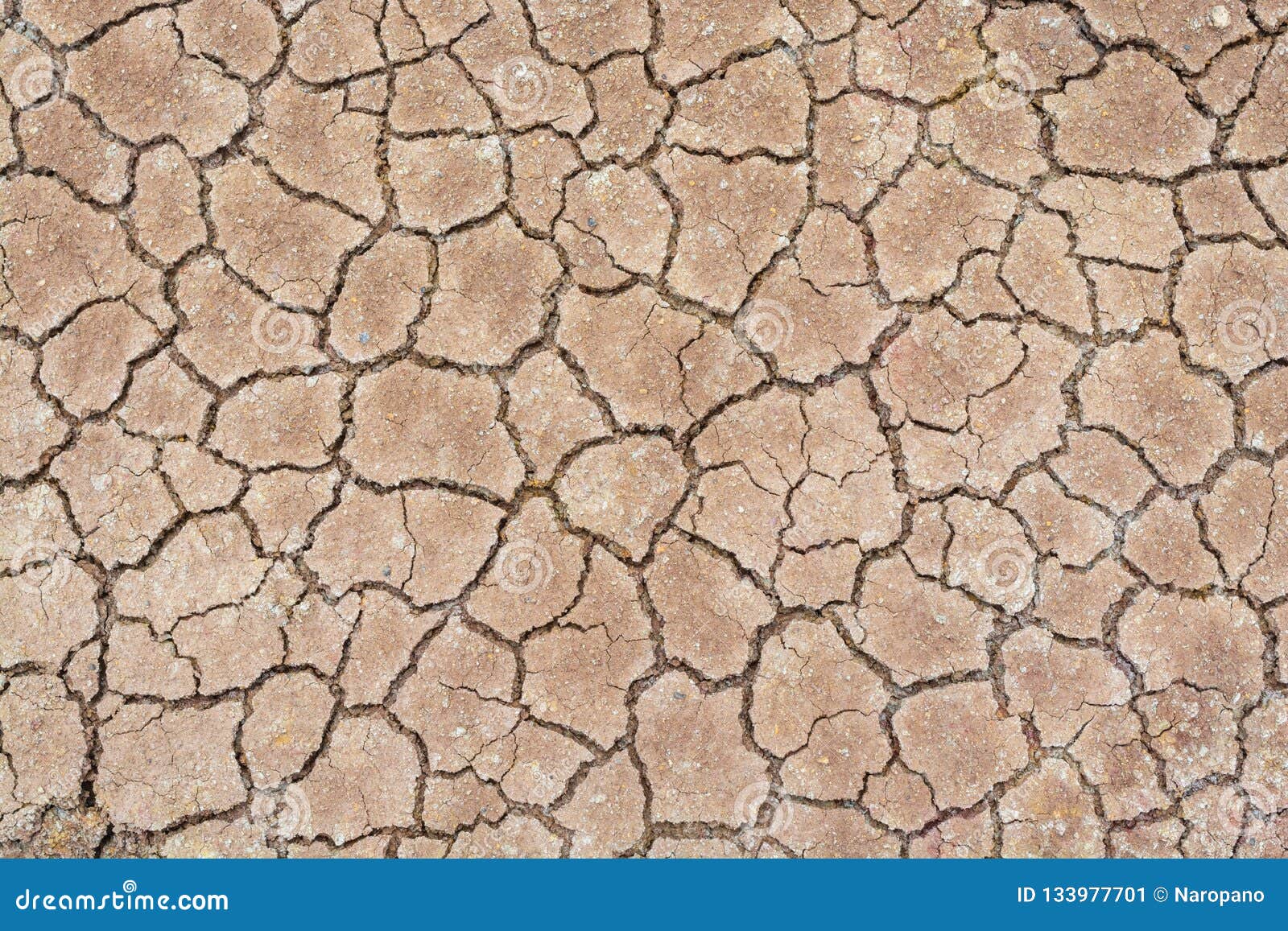 Soil Drought Cracks Texture White Background for Design Stock Image ...
