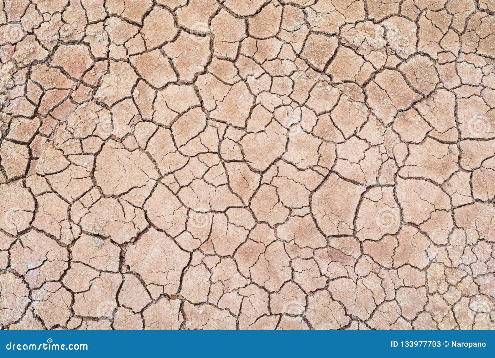 Soil Drought Cracks Texture White Background for Design Stock Image ...
