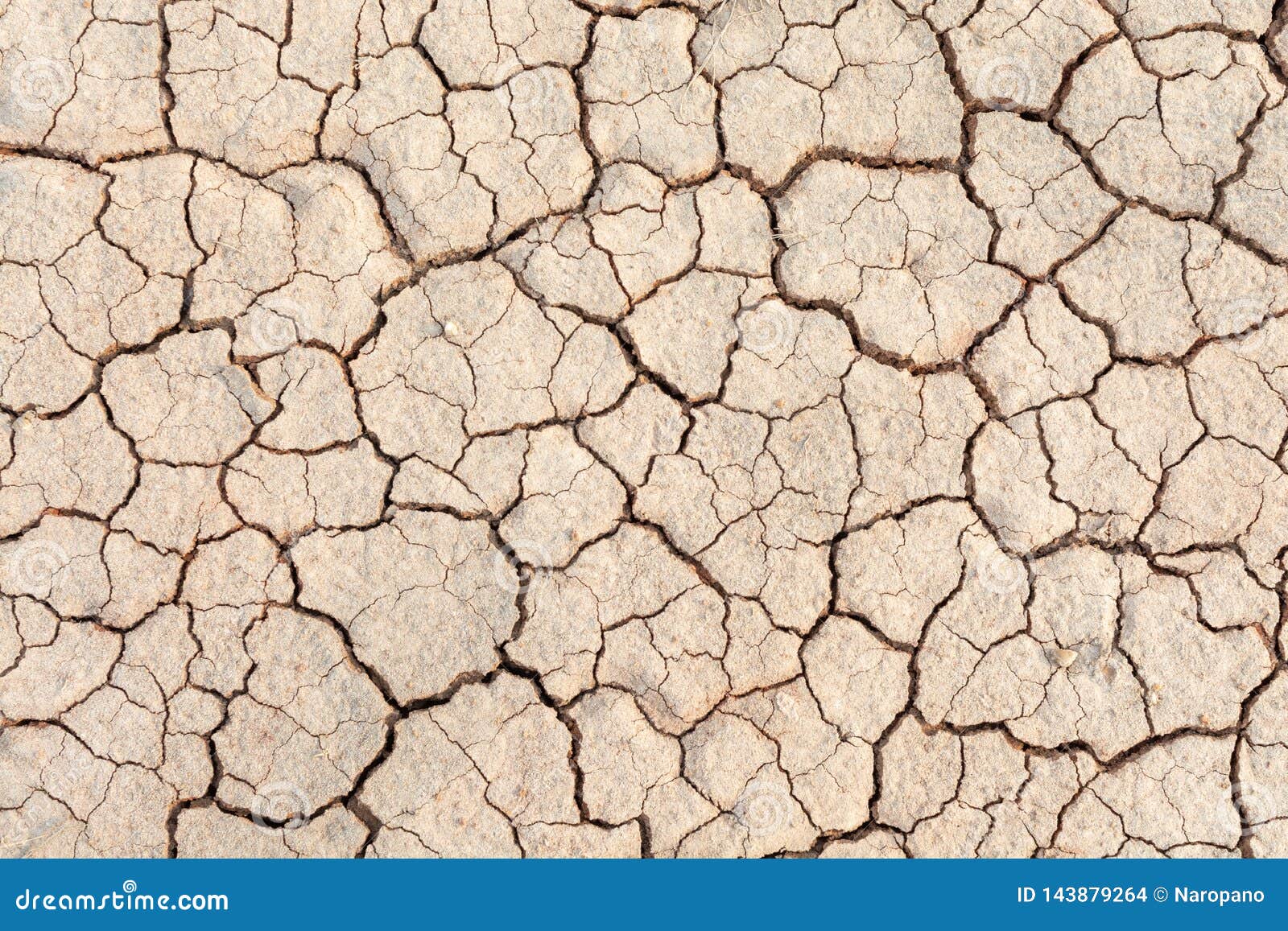 Soil Drought Cracks Texture White Background for Design Stock Photo ...