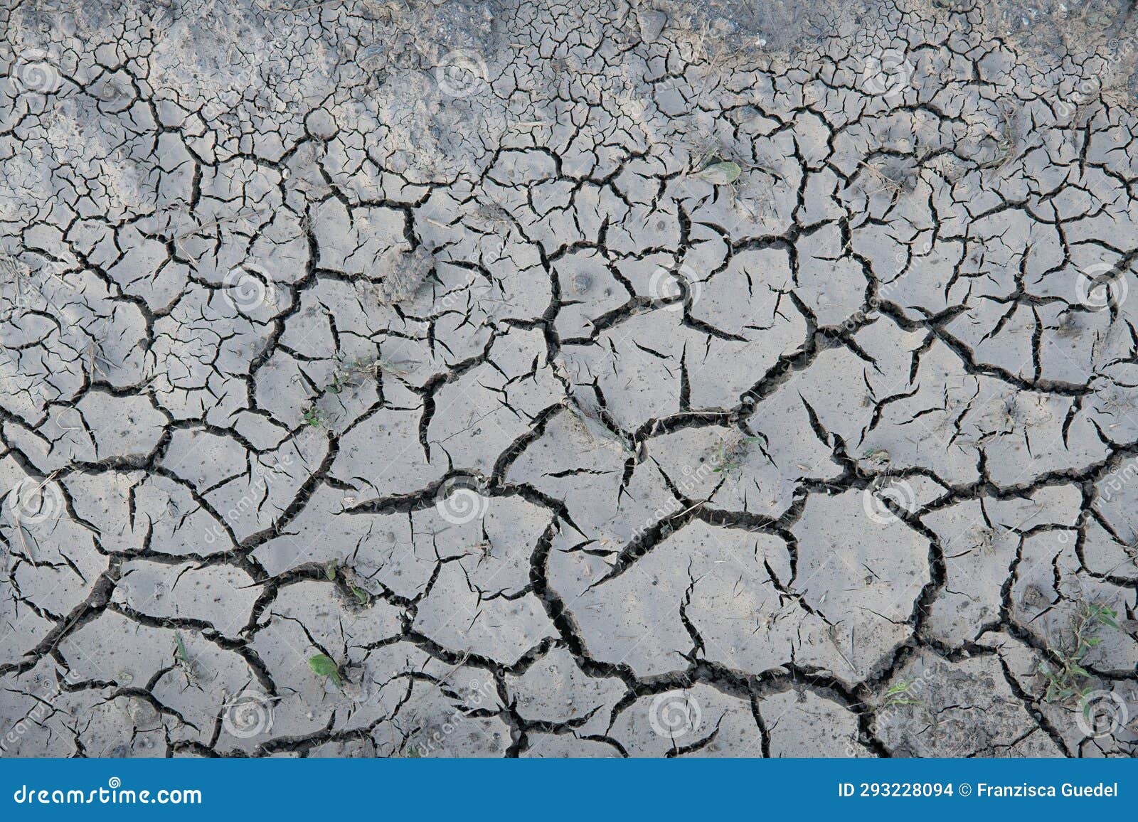 Soil Drought Cracked Texture Royalty-Free Stock Photo | CartoonDealer ...