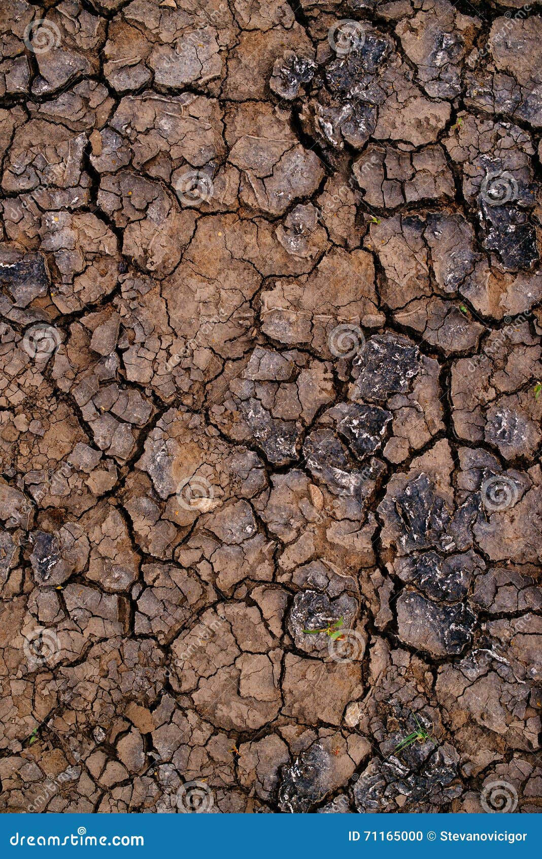 Soil Drought and Mud Cracks in Dry Land Stock Photo - Image of ground ...