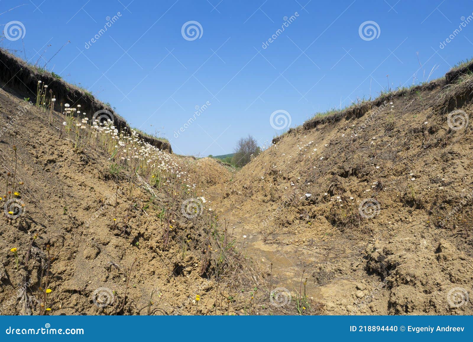 Soil Erosion. a Deep Clay Ravine Formed by Erosion by a Water Stream ...