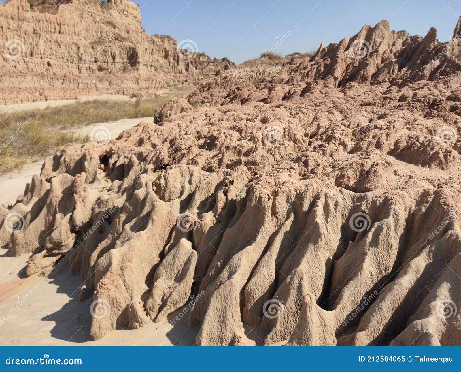 Soil erosion problem stock image. Image of erosion, zoogenic - 212504065