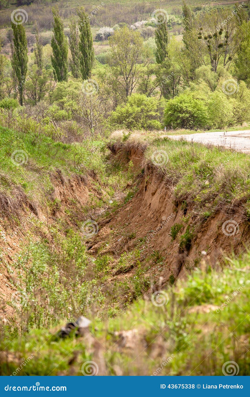 Soil erosion in Ukraine stock photo. Image of ravine - 43675338