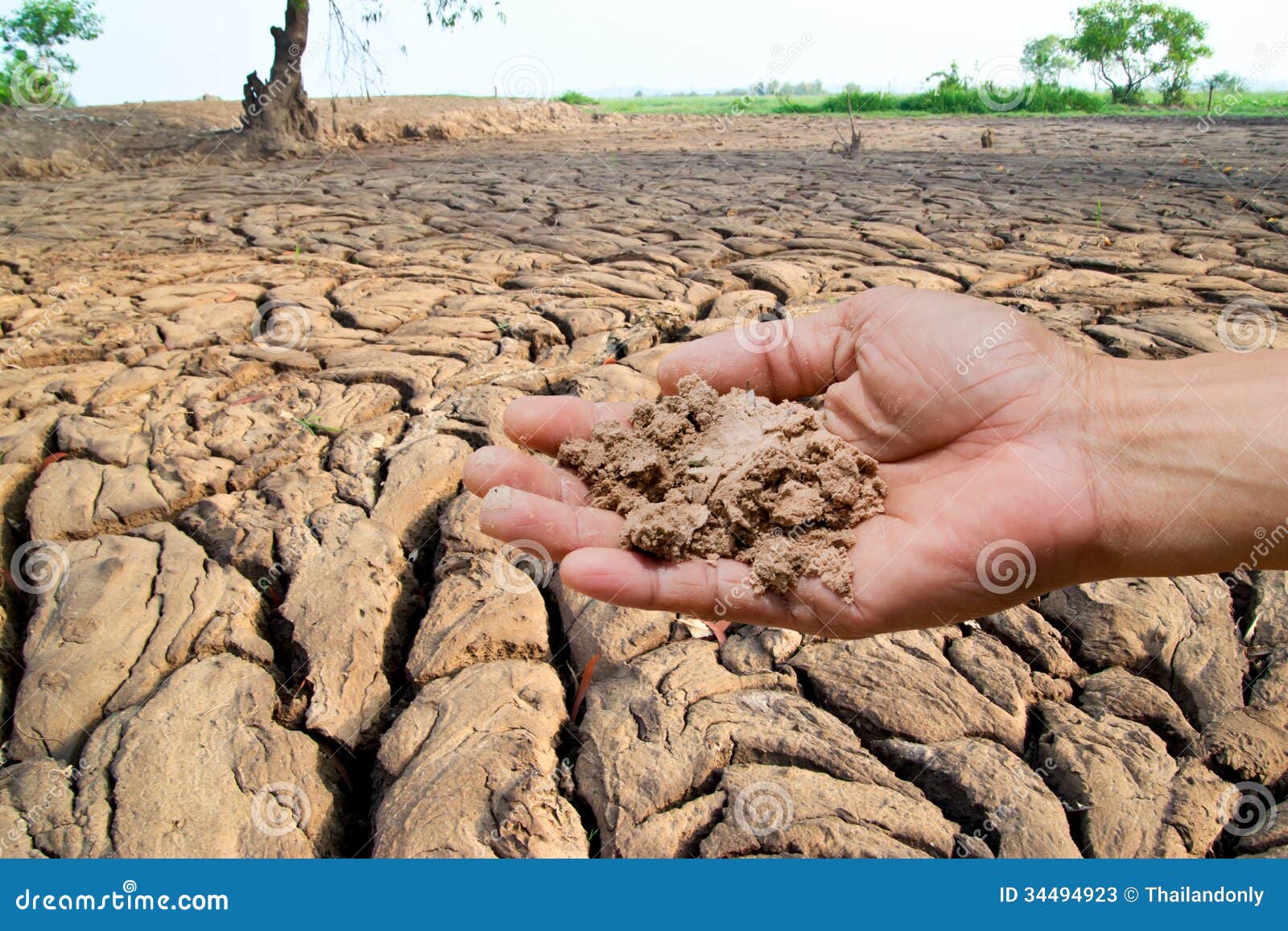 Soil Farmer Hand Stock Photos - Royalty Free Images