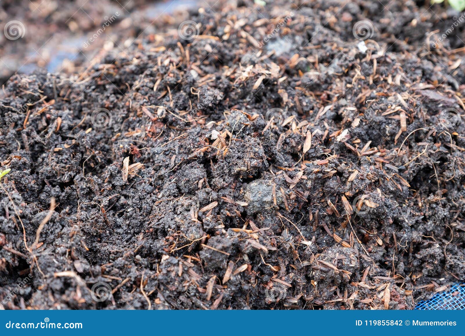 Soil and Fertilizer Preparing in Plot Stock Photo - Image of ...