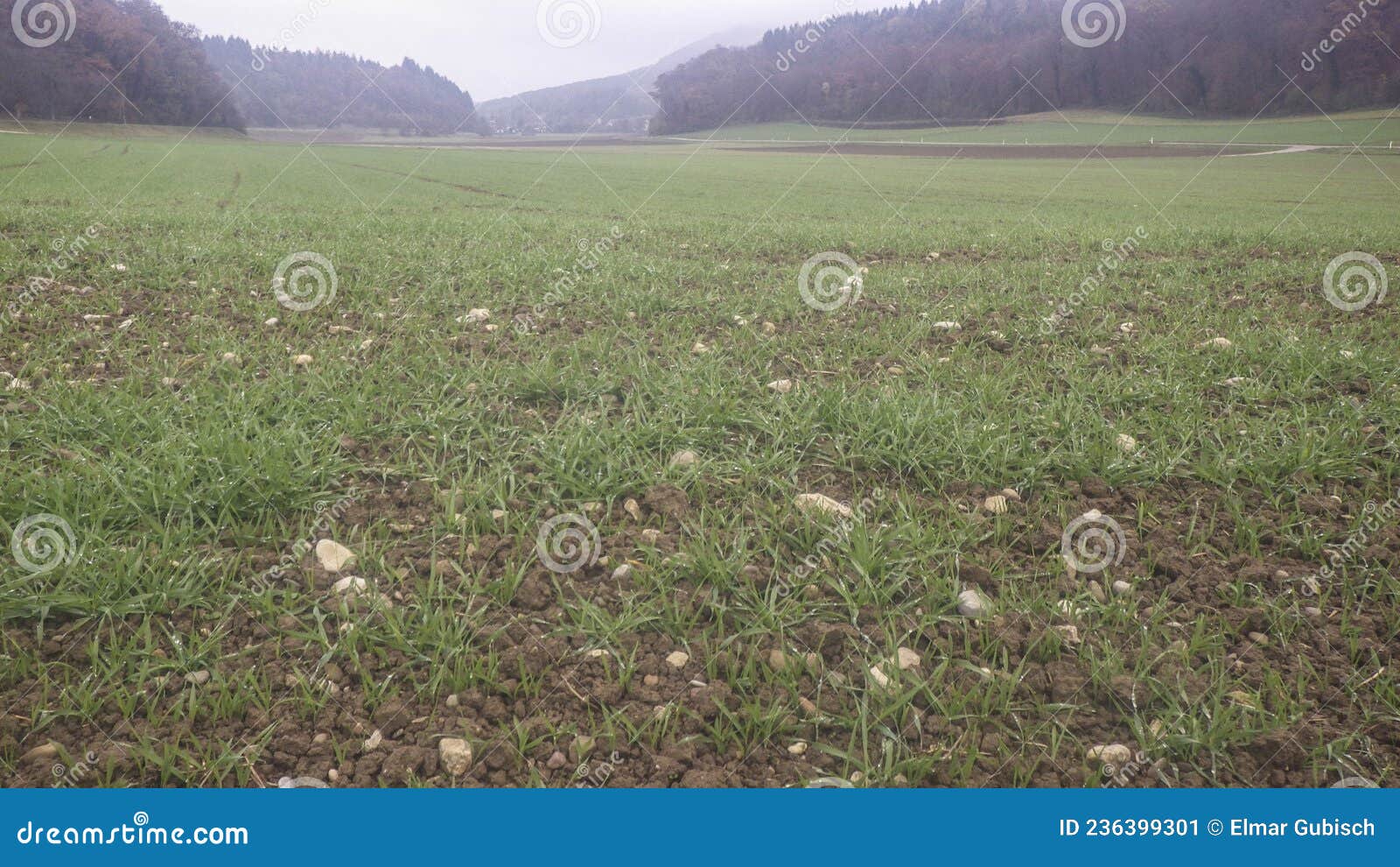 Soil on a Field in Agriculture Stock Image - Image of culture, crop ...