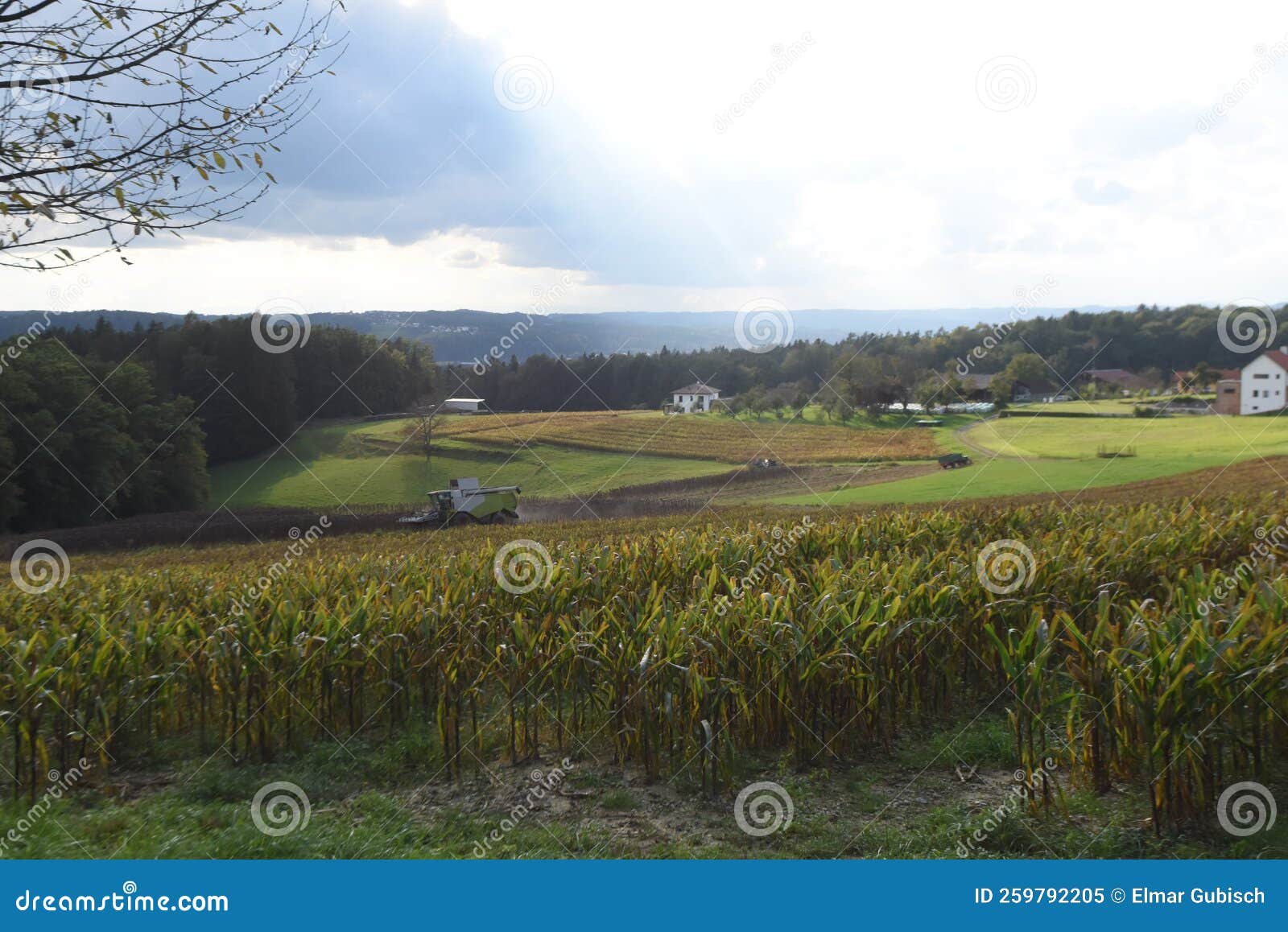 Soil on a Field in Agriculture Stock Image - Image of crop ...