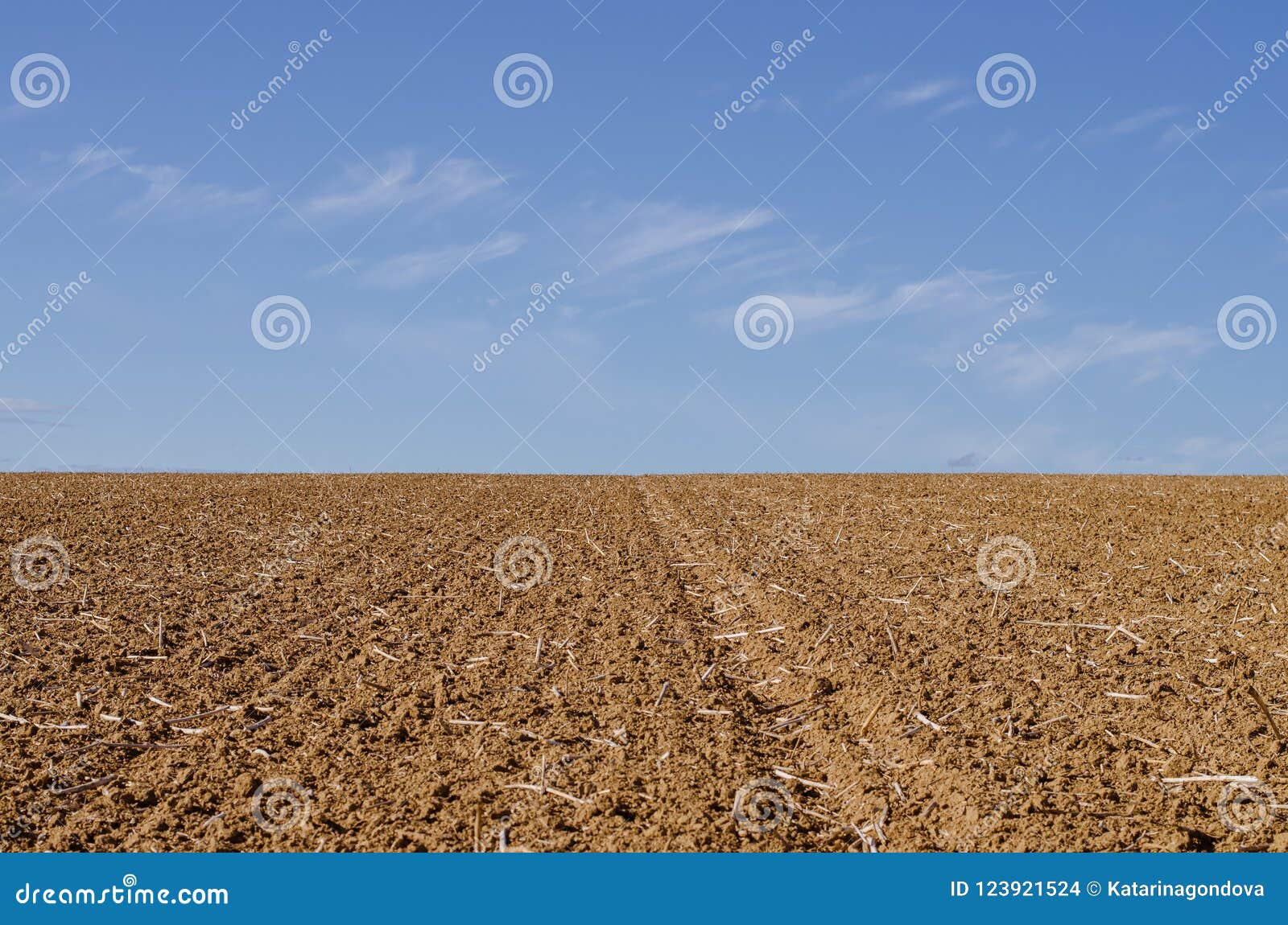 Soil in field stock photo. Image of cultivated, beauty - 123921524
