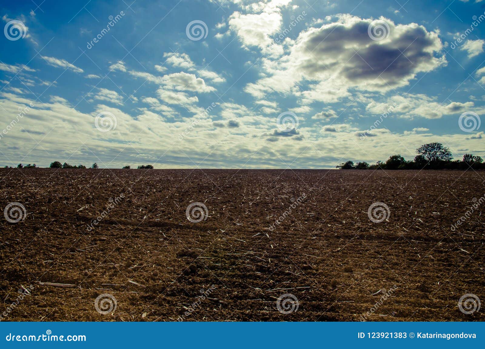 Soil in field stock image. Image of natural, farm, cultivated - 123921383