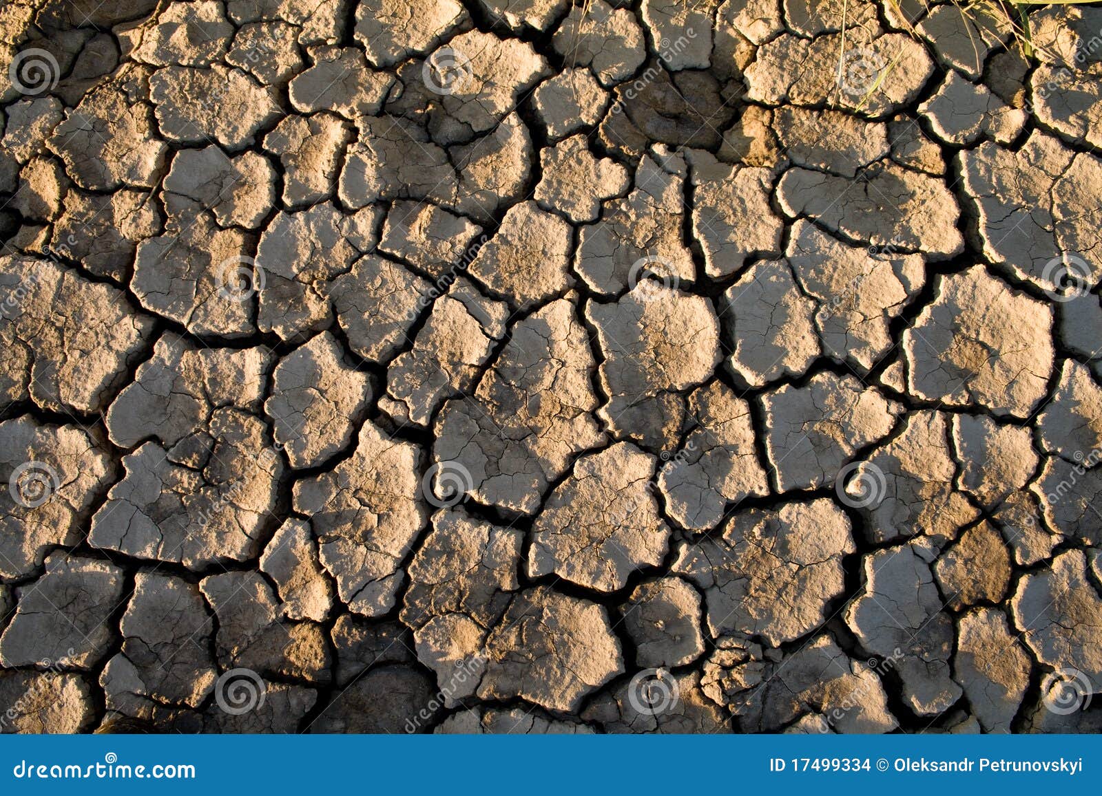 The soil in the fissures stock photo. Image of barren - 17499334