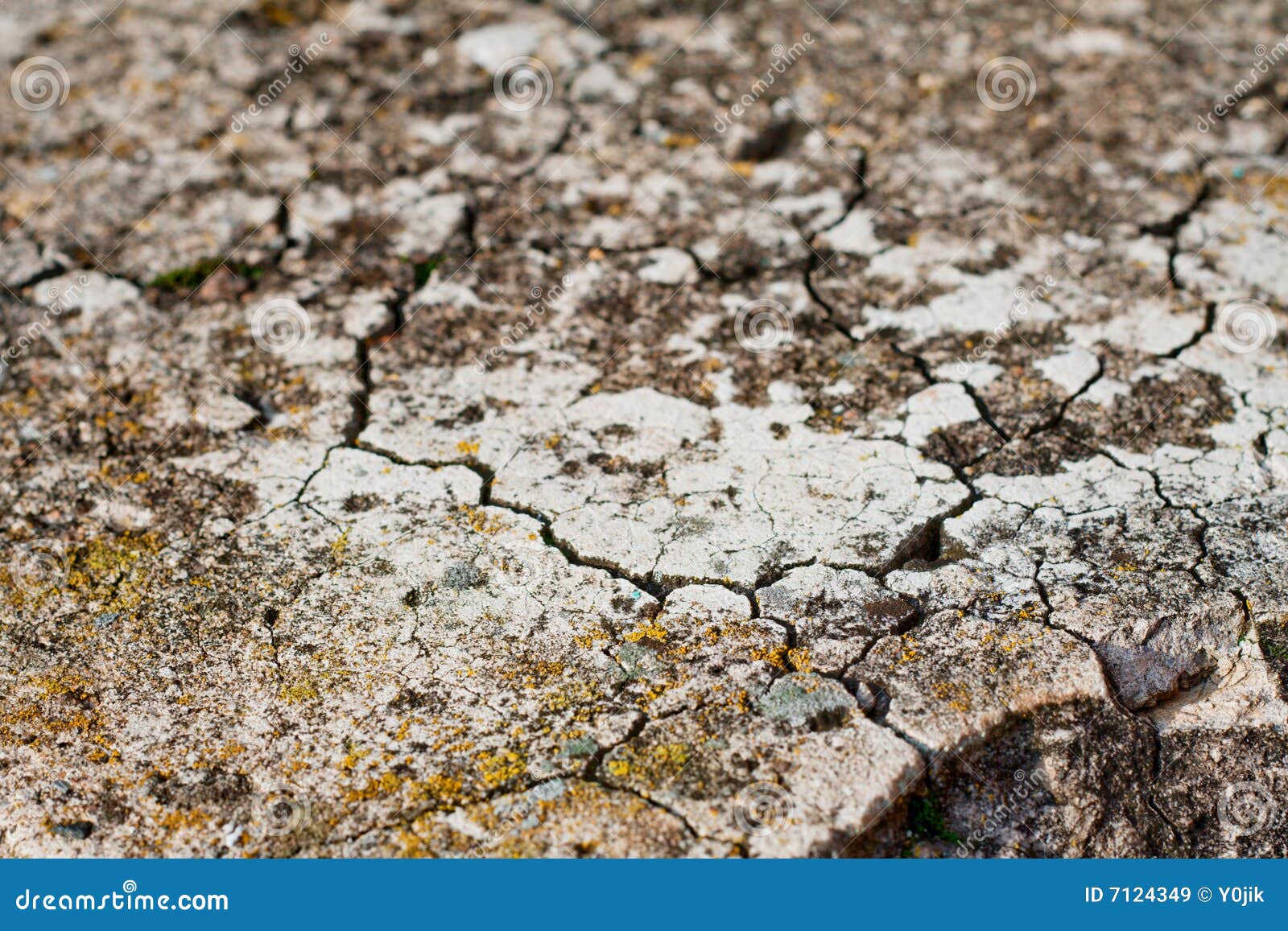 Soil with fissures stock image. Image of environment, background - 7124349