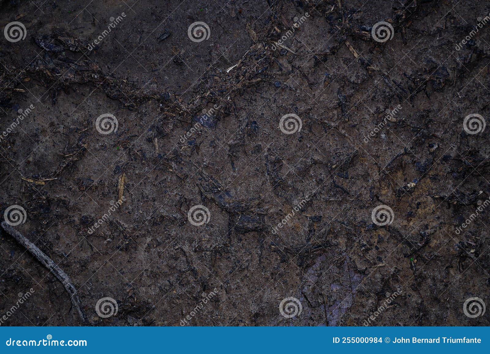 Soil Flood Texture Grunge Background Stock Photo - Image of plant ...