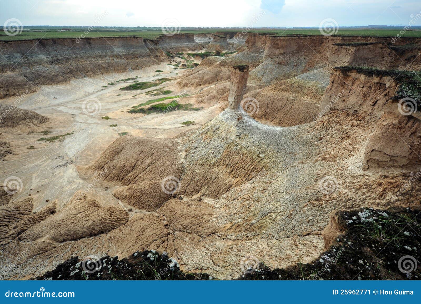 Soil forest stock image. Image of desert, fissure, form - 25962771