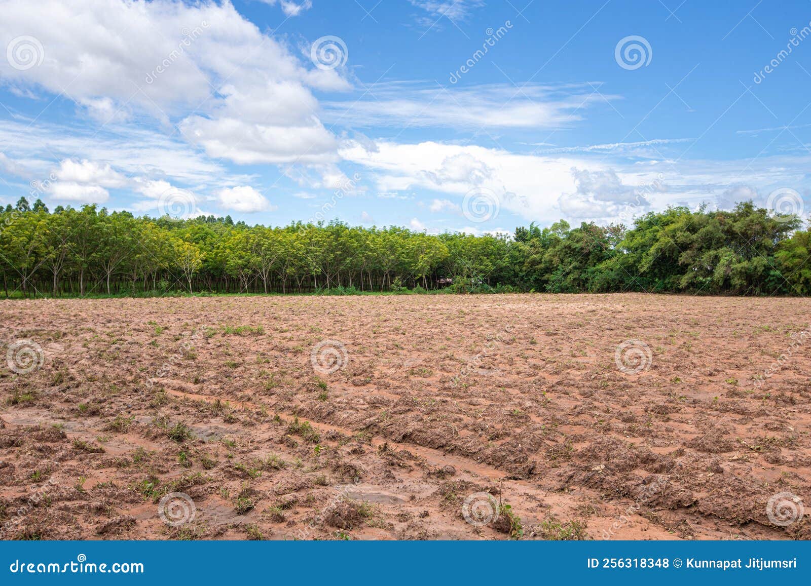 Soil, Forest and Sky in Agriculture Stock Photo - Image of farmland ...