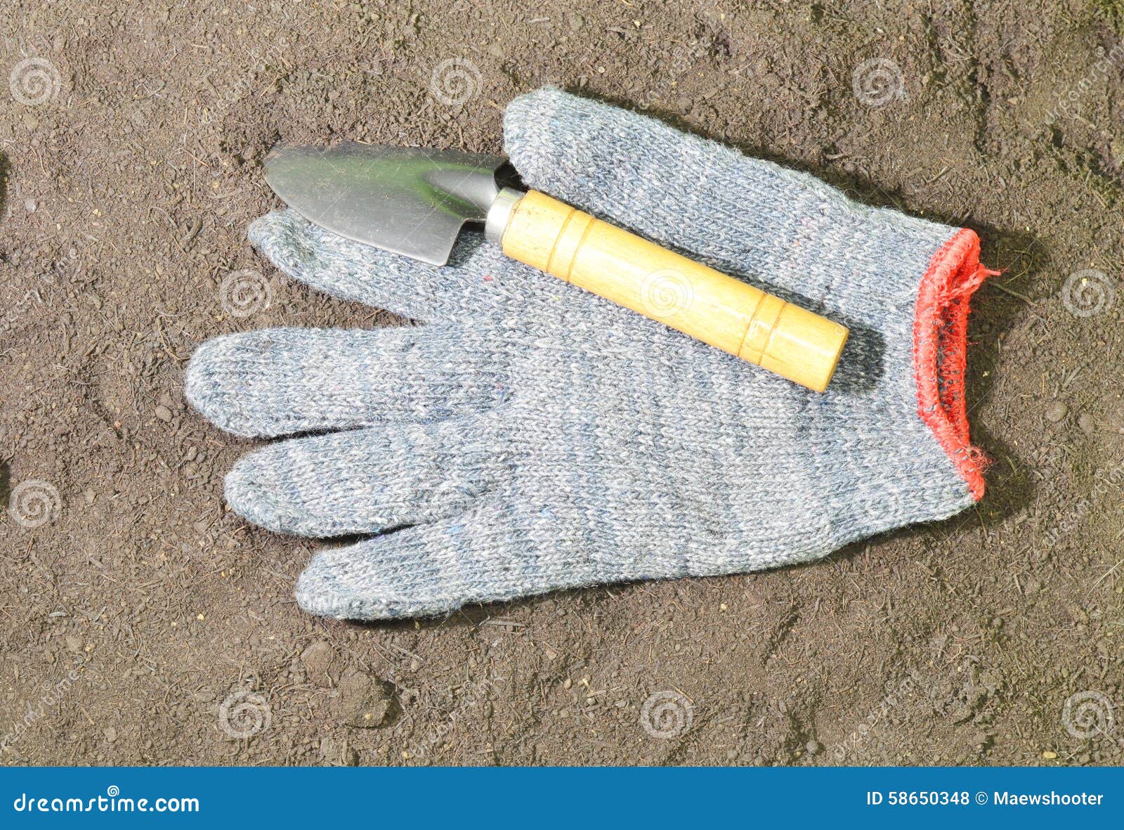 Soil and garden tool stock photo. Image of plant, planting - 58650348