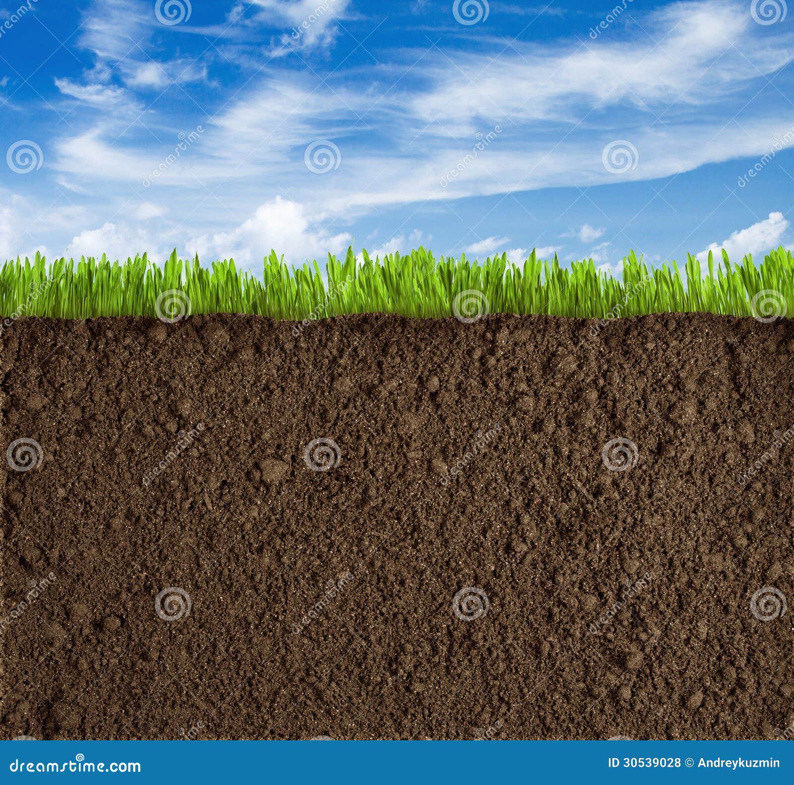Soil Background, Soil Texture, Black Soil With Manure For Plant Growth ...