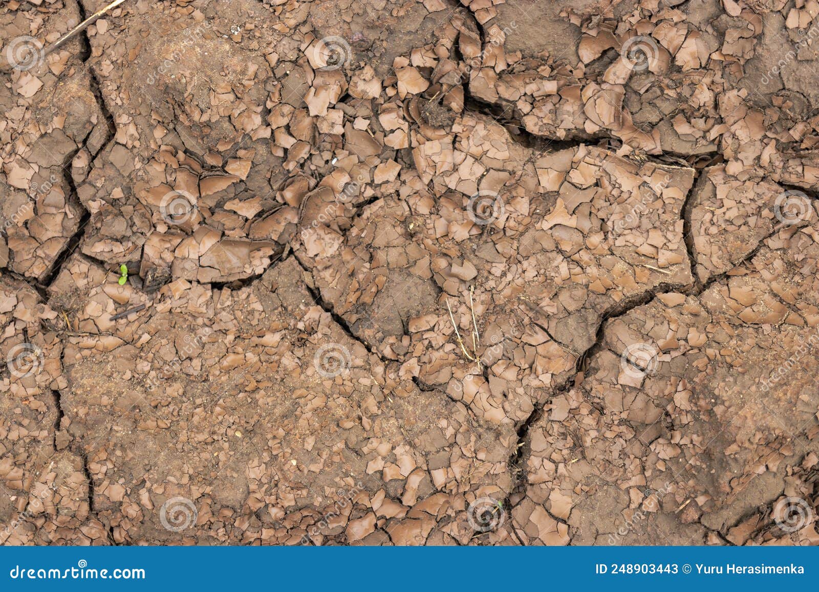 Soil on the Ground As Texture and Background Stock Image - Image of ...