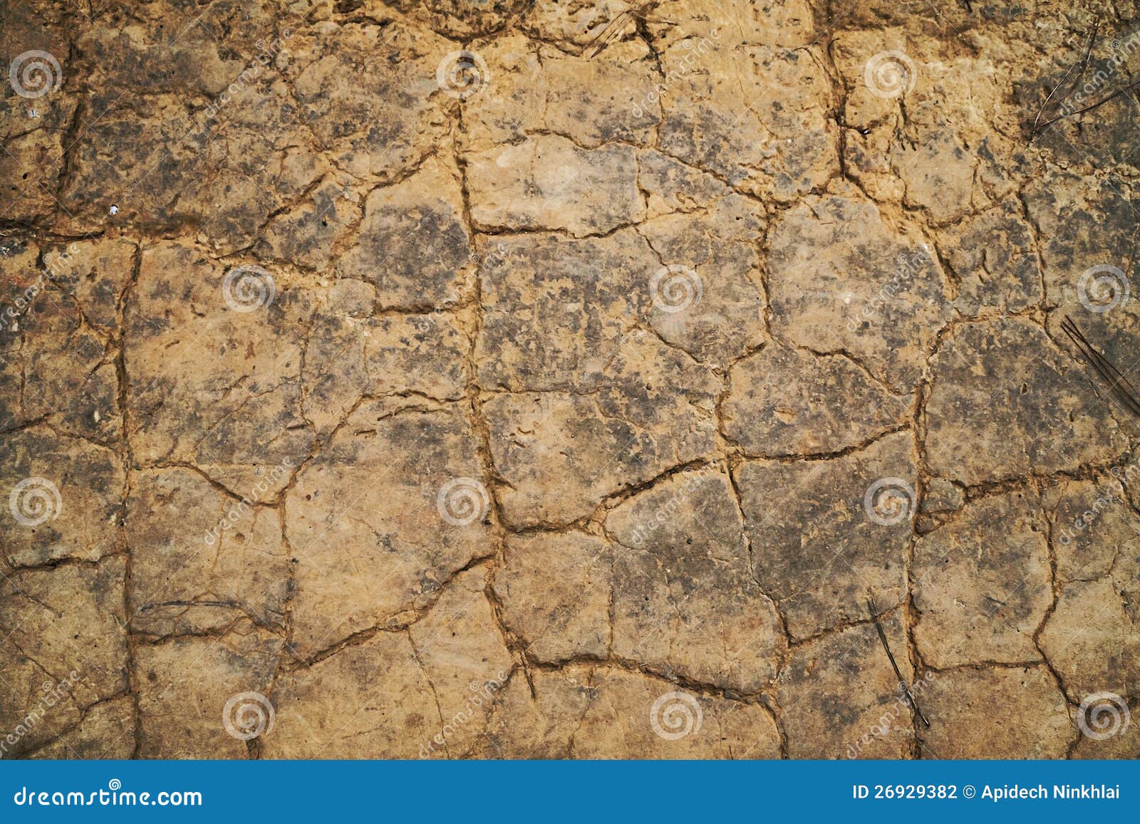 Soil ground texture stock photo. Image of cultivated - 26929382