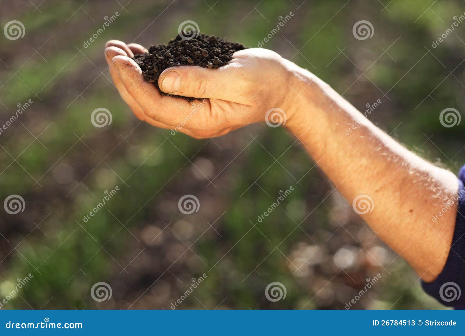 Soil in hand stock image. Image of caucasian, cleanup - 26784513