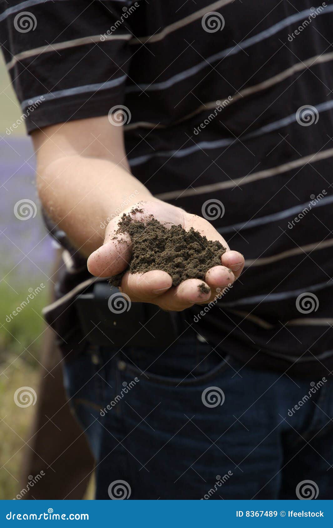 Soil in hand stock image. Image of gardening, fragility - 8367489