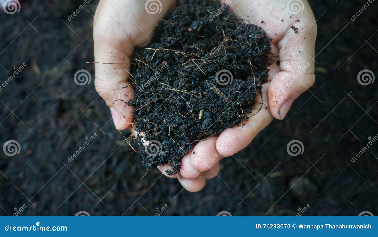 Soil in hand. stock photo. Image of life, concept, earth - 76293070