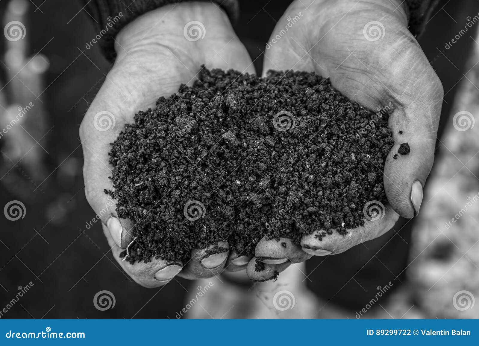 Soil in hand stock photo. Image of hands, cloudy, cultivation - 89299722
