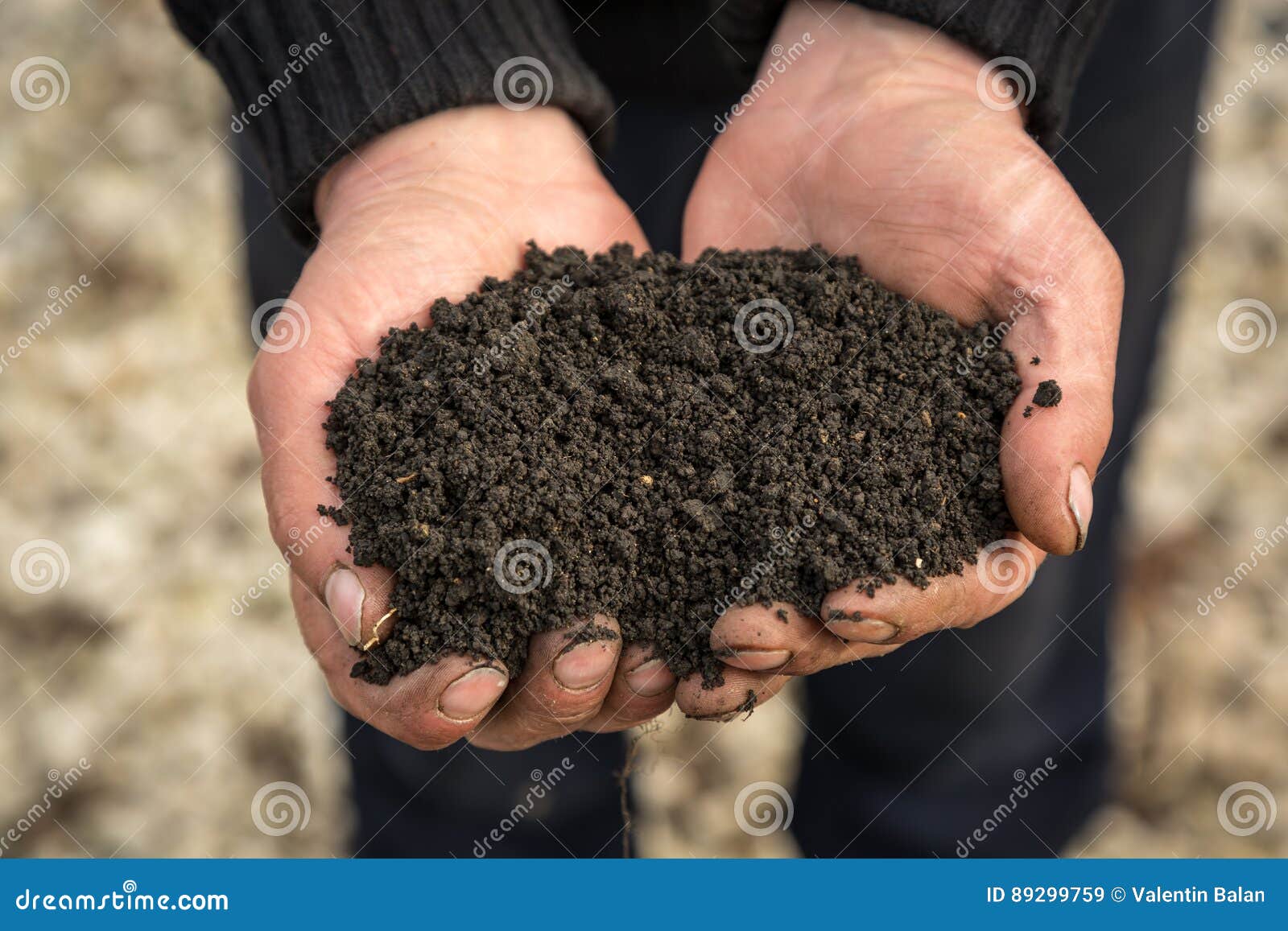 Soil in hand stock image. Image of environment, hands - 89299759