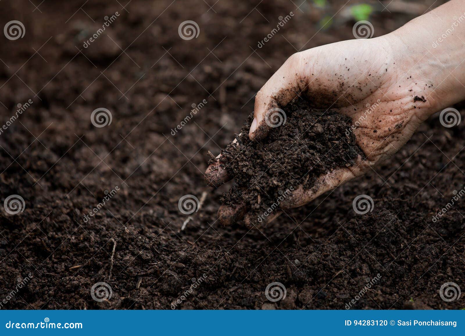 Soil in hand stock photo. Image of gardening, earth, fertilizer - 94283120
