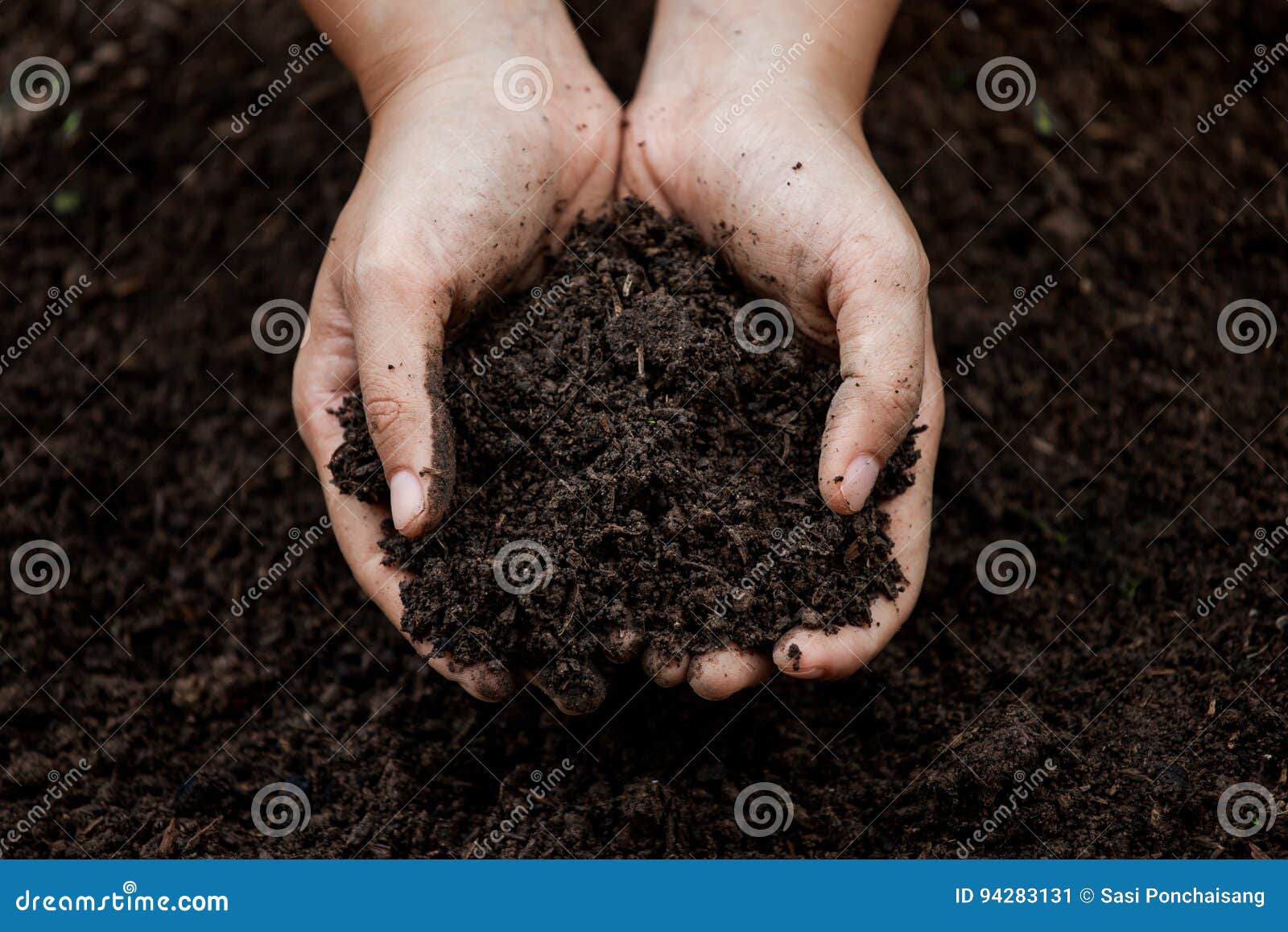 Soil in hand stock image. Image of conservation, fresh - 94283131