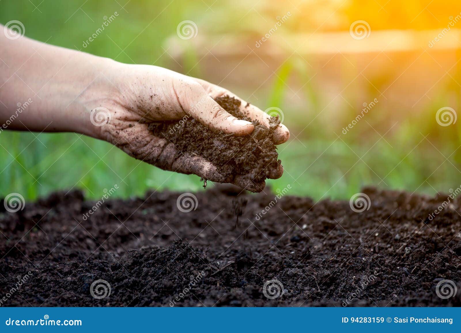 Soil in hand stock image. Image of closeup, ecology, ground - 94283159