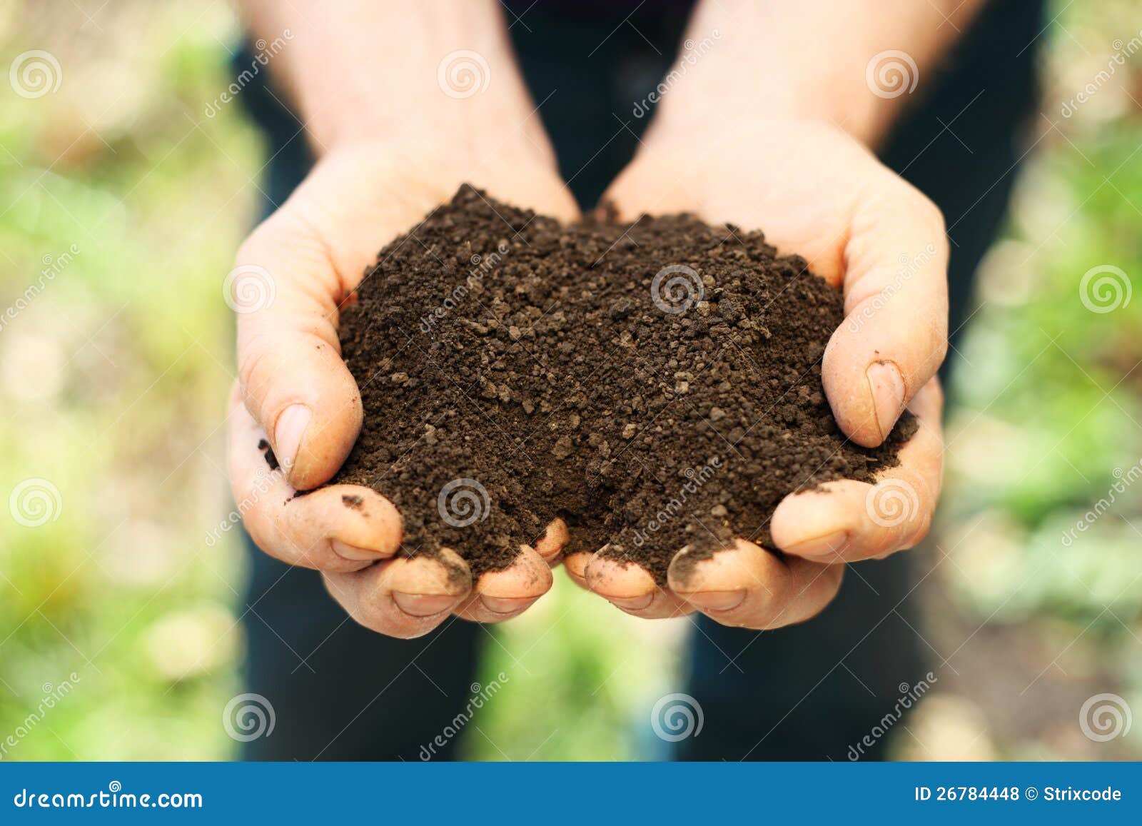 Soil in hands stock photo. Image of closeup, human, background - 26784448