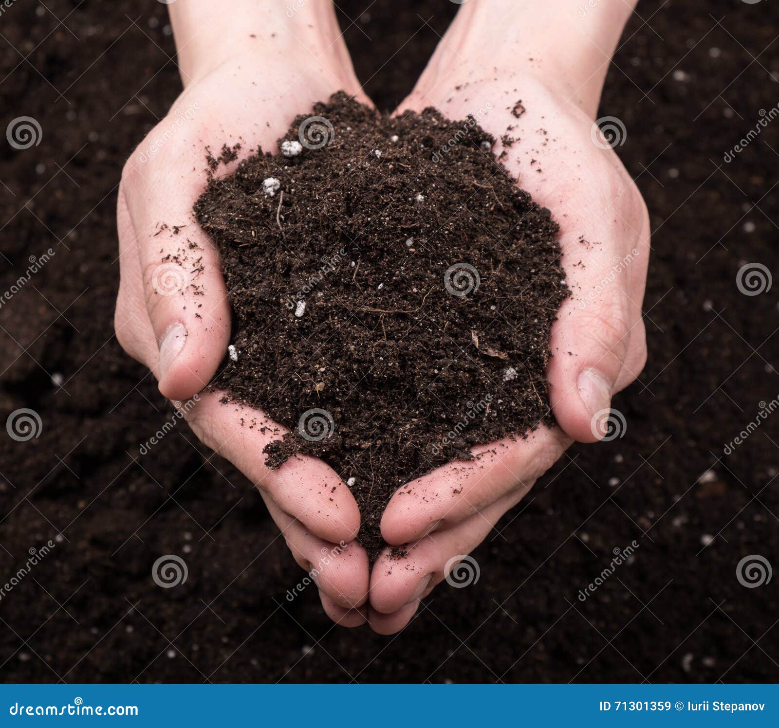 Soil in hands stock image. Image of concept, organic - 71301359